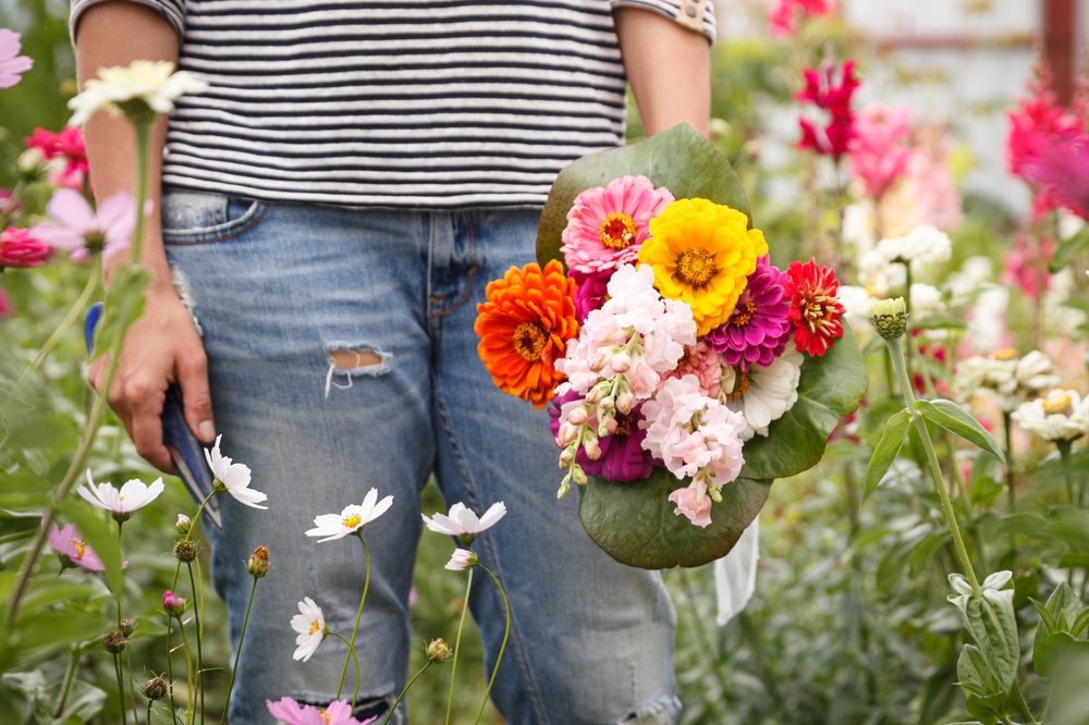 Create a cut flower garden - Welland Vale Garden Inspirations | Uppingham